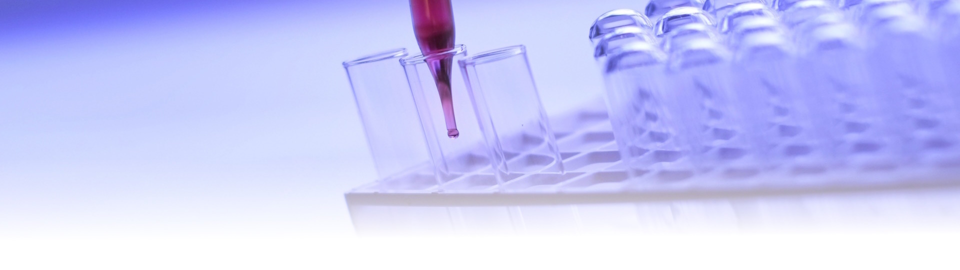 Dominion Biotech - experts in patient derived cell models